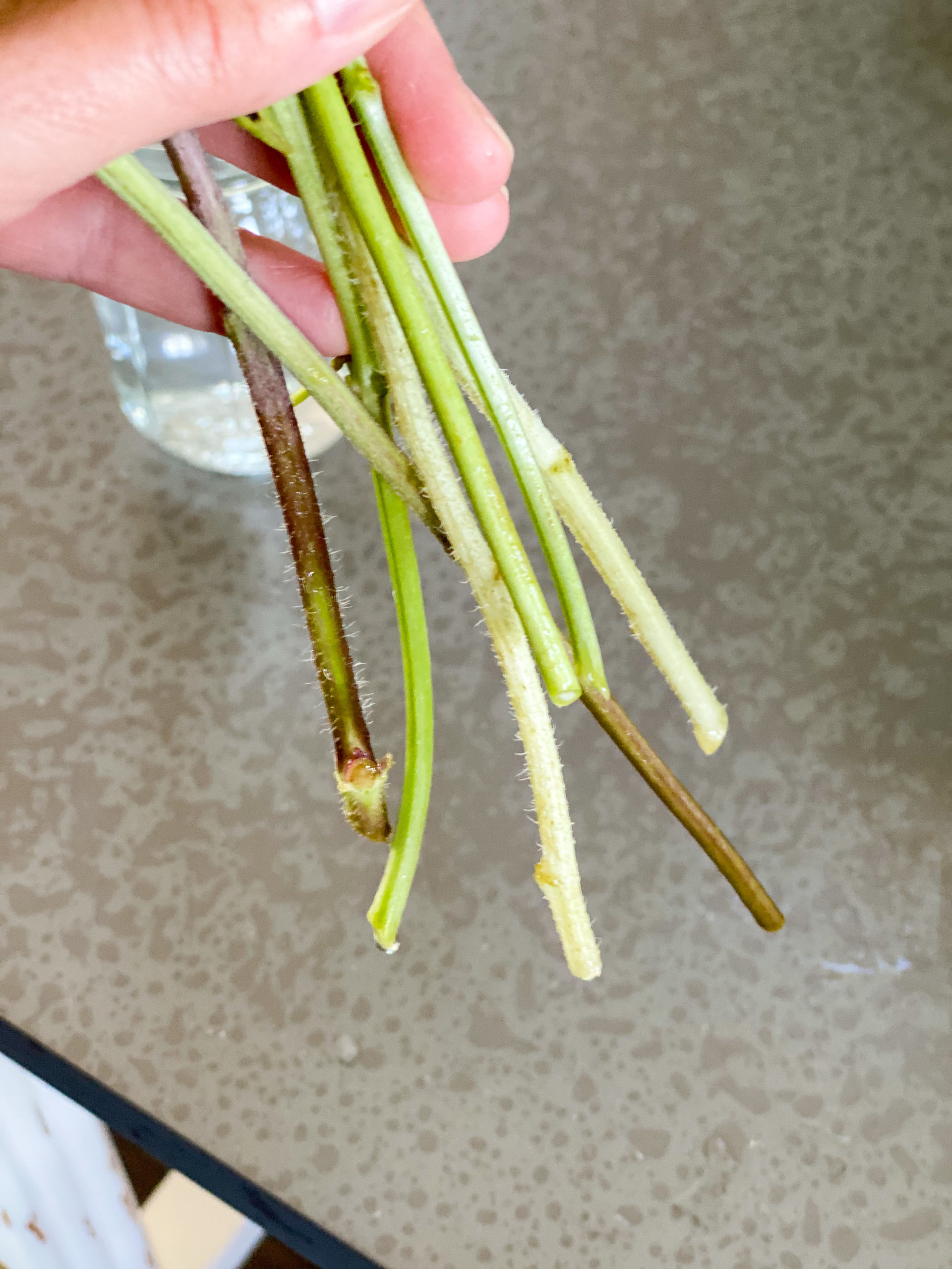How to Make Mini Floral Bouquets from a Bucket of Blooms - Simple Leaf Farm